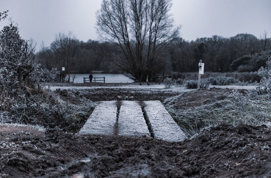 Property investment Redbridge - Hainault Forest best parks